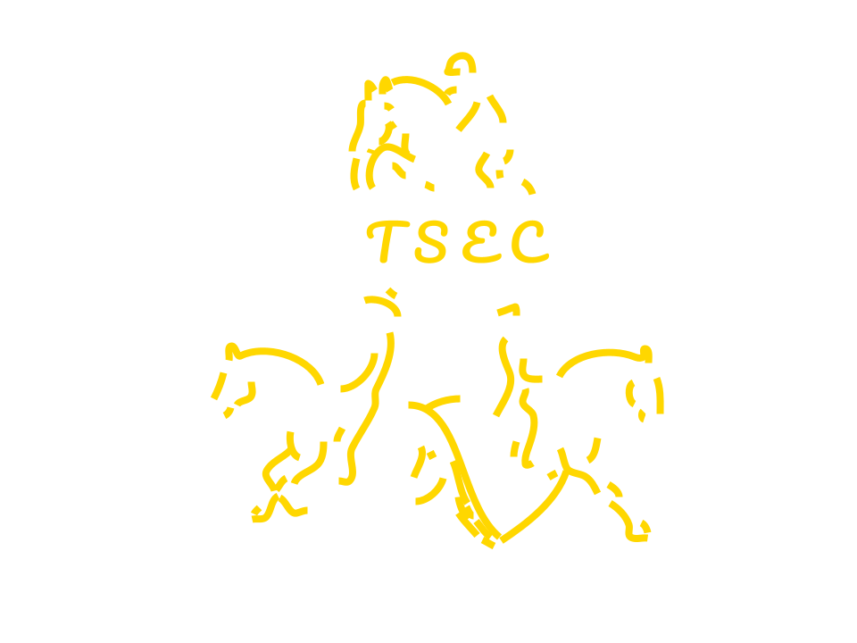 Home | Treasure State Equestrian Center